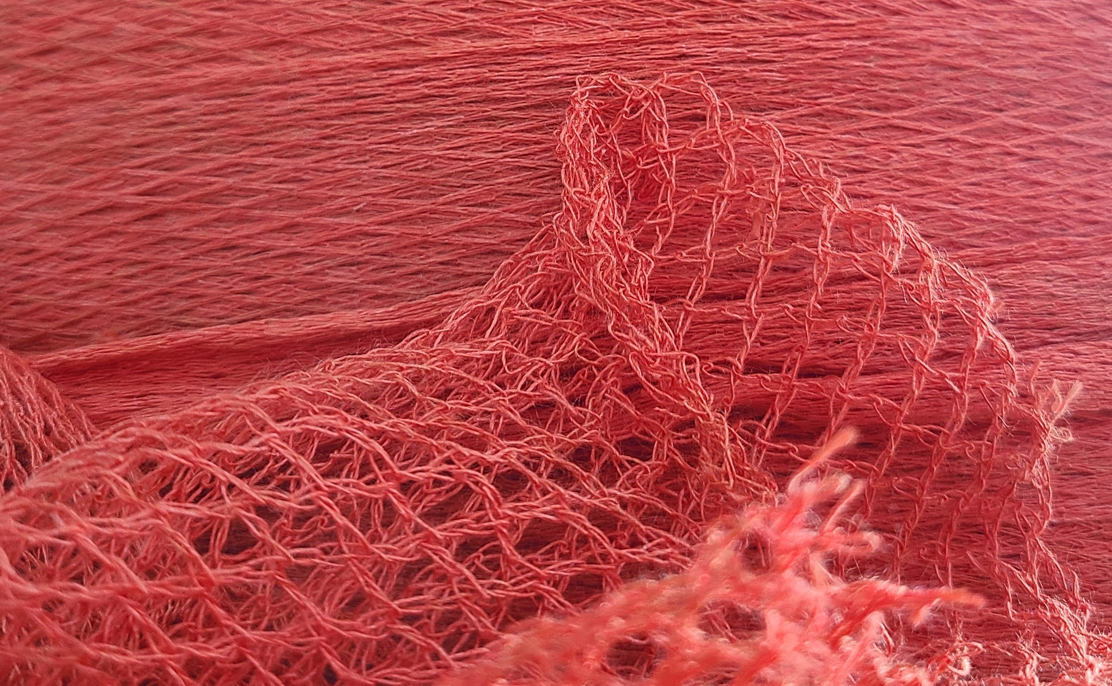 Biodegradable cellulose nets | Bretagne Pack